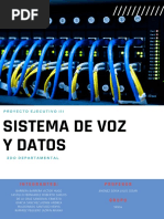 Unidad Vi. - Plano de Voz y Datos | PDF