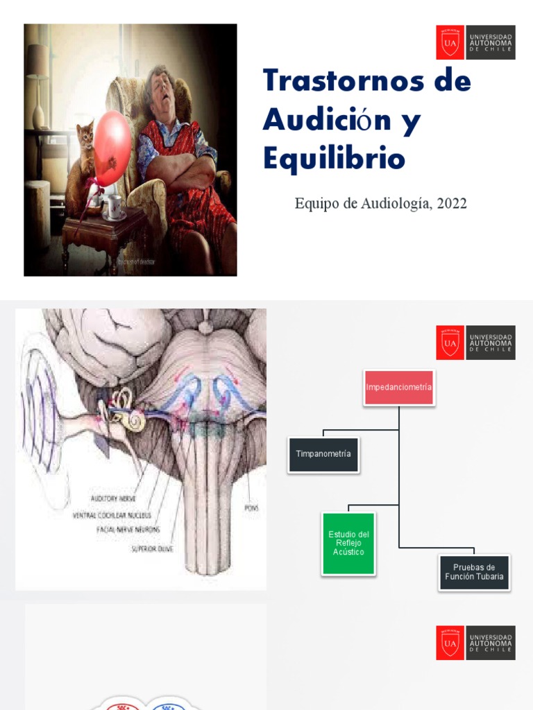 Semana 8 Reflejo Acústico | PDF | Audiología | Anatomía