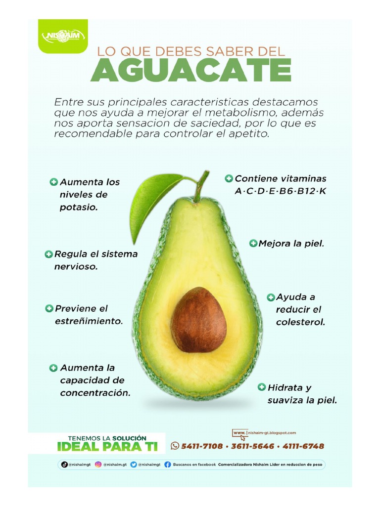 El Aguacate | PDF