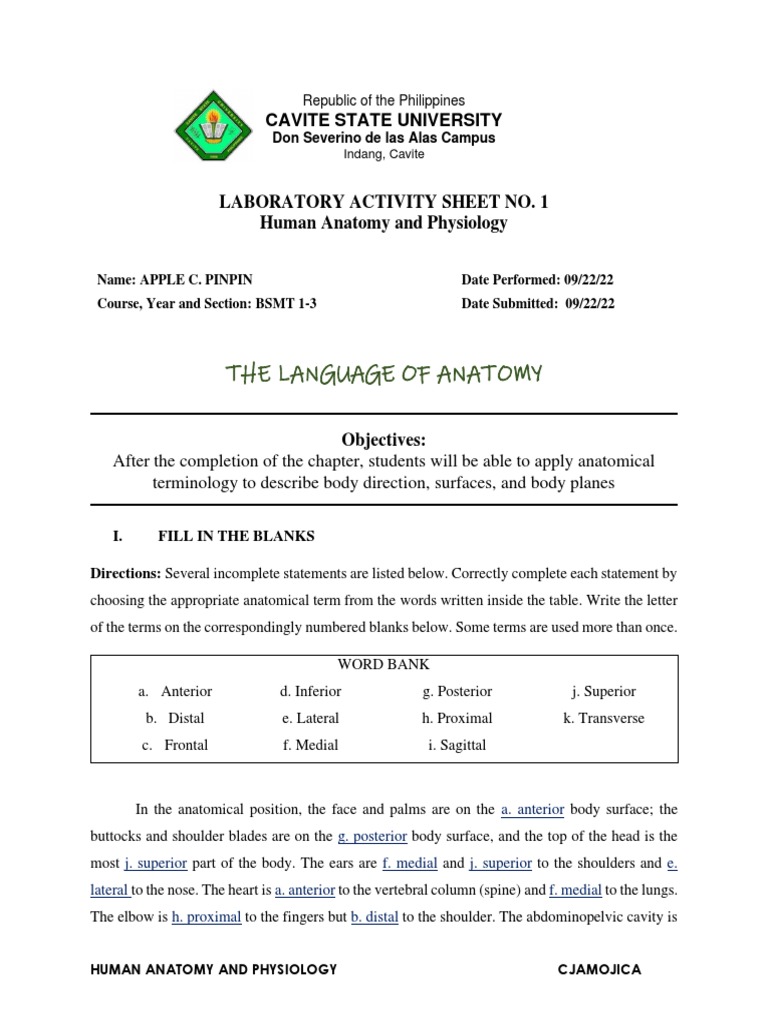 Apple Pinpin - Lab Sheet #1 | Download Free PDF | Anatomical Terms Of Location | Human Anatomy