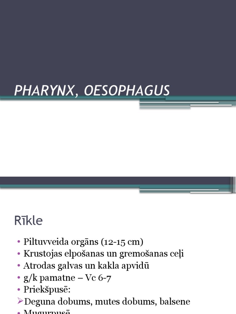 Pharynx 1 | PDF