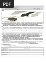 Compte Rendu Objectif 2AS Mélodie | PDF | Ponctuation