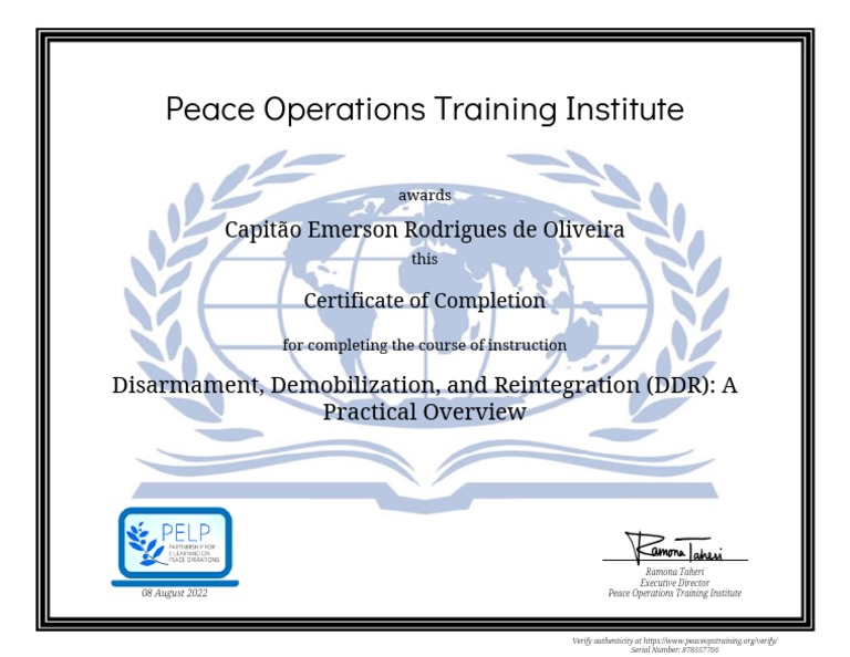 Disarmament Demobilization and Reintegration DDR Practical Overview ...