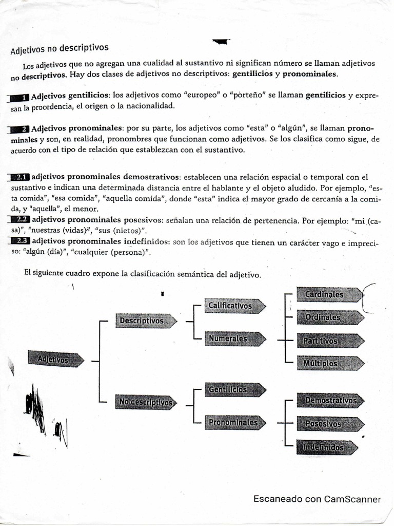 Adjetivos No Descriptivos | PDF