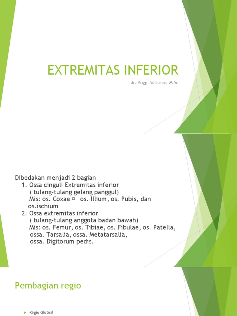 Extremitas Inferior Dr. Anggi Setiorini, M.SC | PDF
