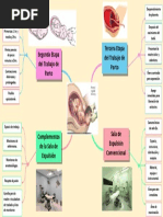 Puerperio Tardío | PDF | Parto | Periodo posparto