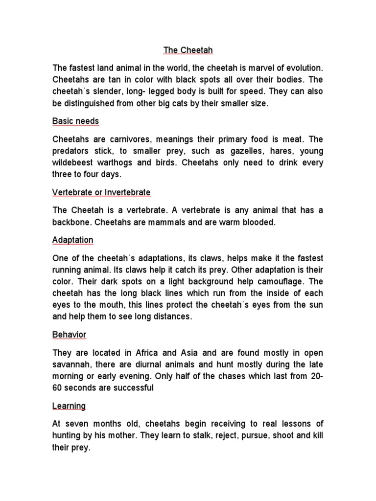 The Cheetah | PDF | Home & Garden