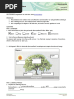 Photosynthesis Worksheet and Answers | PDF | Photosynthesis | Biochemistry