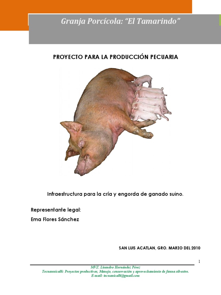 Proyecto Porcino en San Luis Acatlán | PDF | Parto | Cerdo
