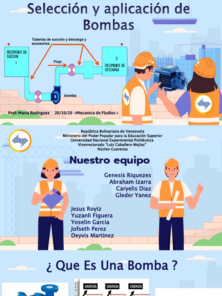 Aplicacion y Seleccion de Bombas | PDF