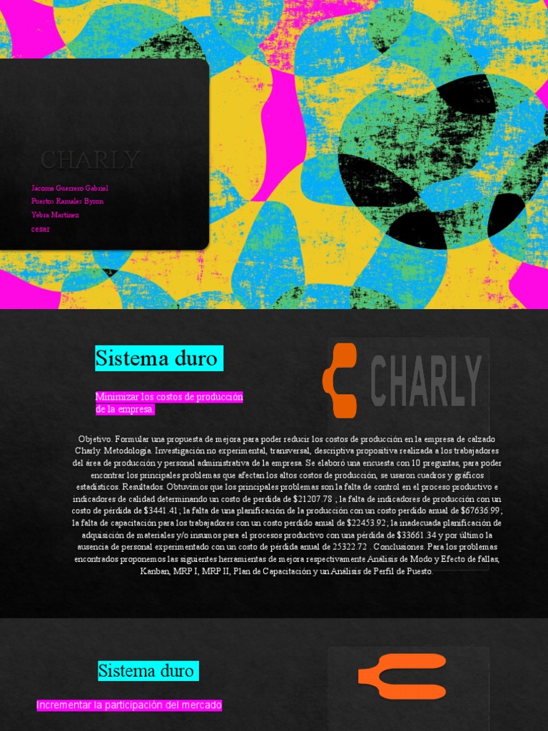 CHARLY | PDF | Logística | Almacén