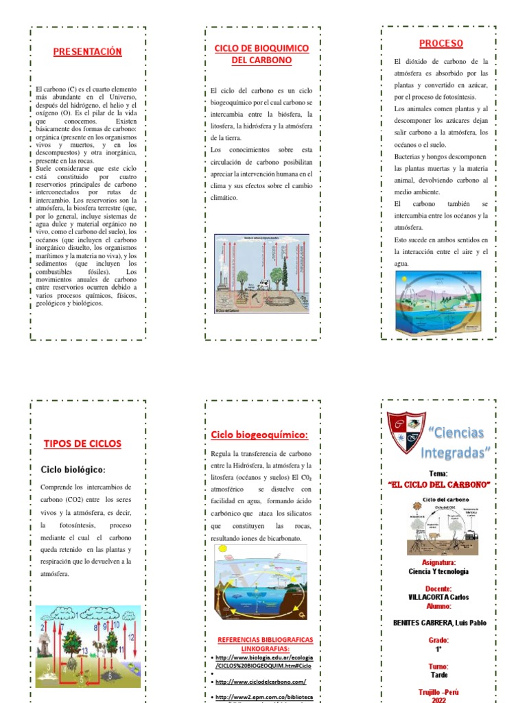 Triptico El Ciclo Del Carbono | PDF | Ciclo del carbono | Carbón