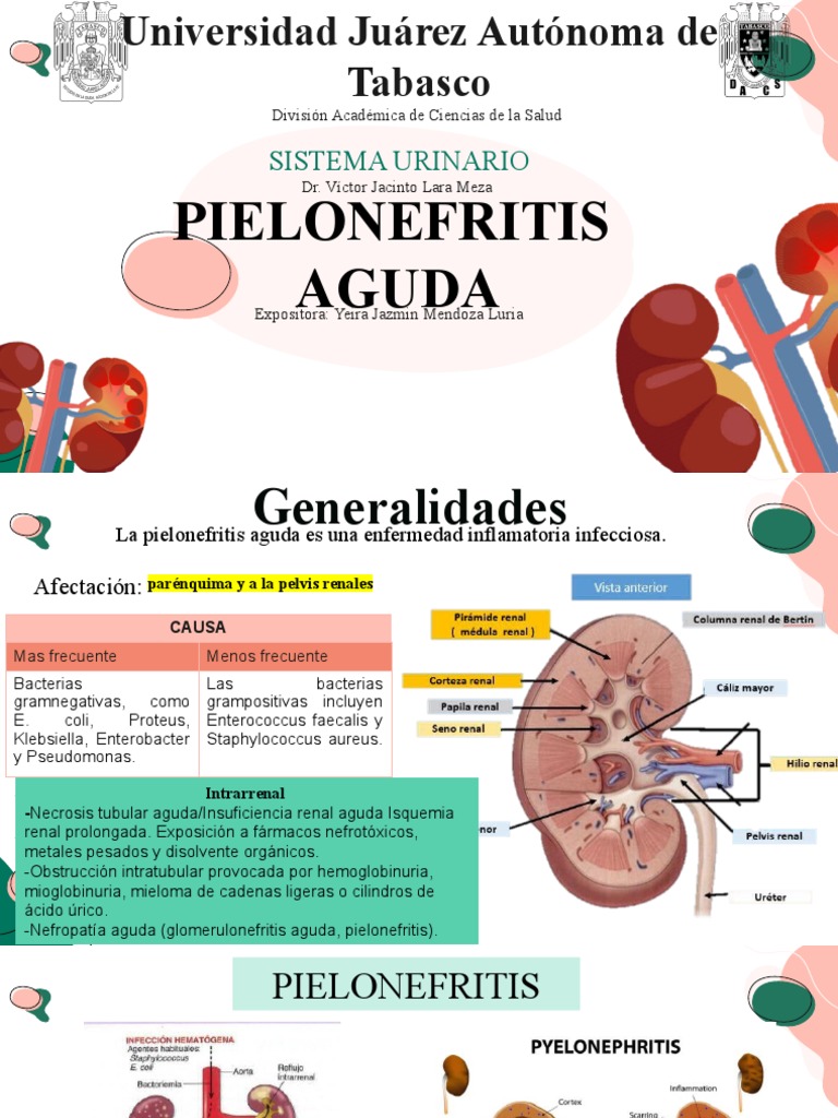Urinario Pielonefritis | PDF | Especialidades Medicas | Medicina CLINICA