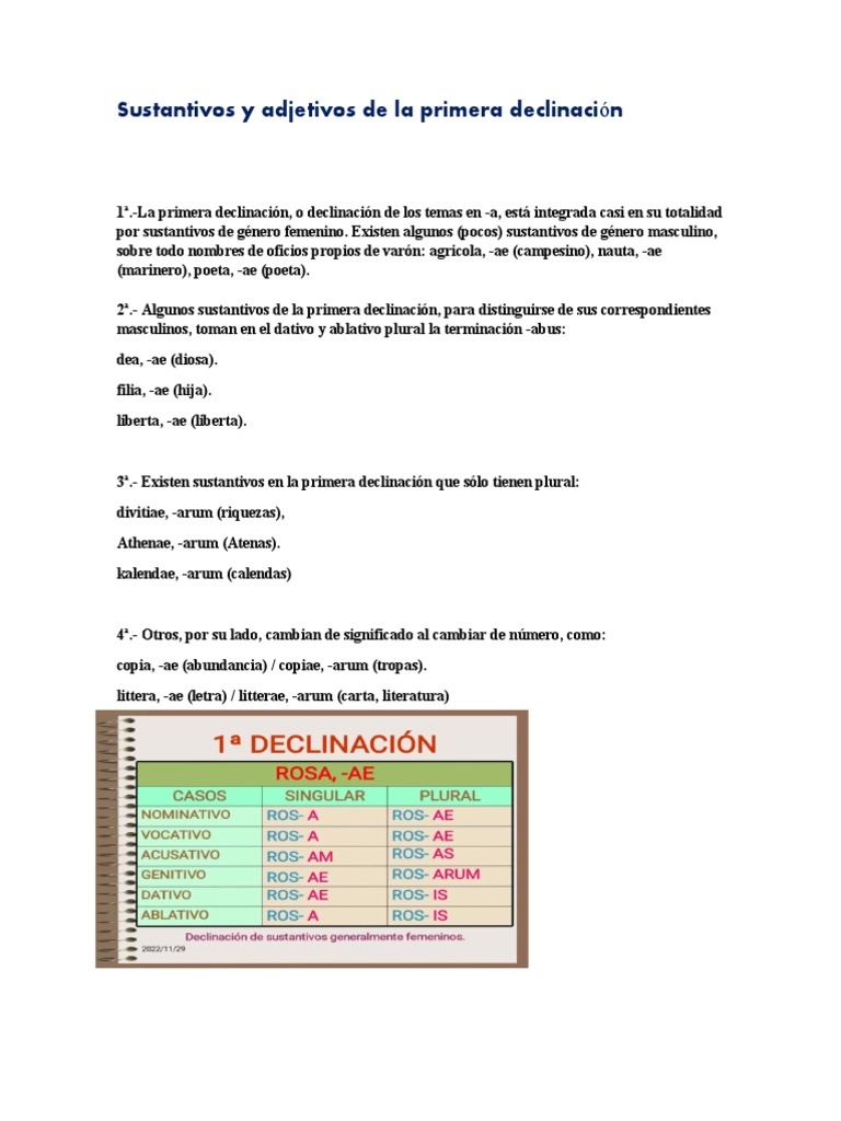Primera Declinación | PDF