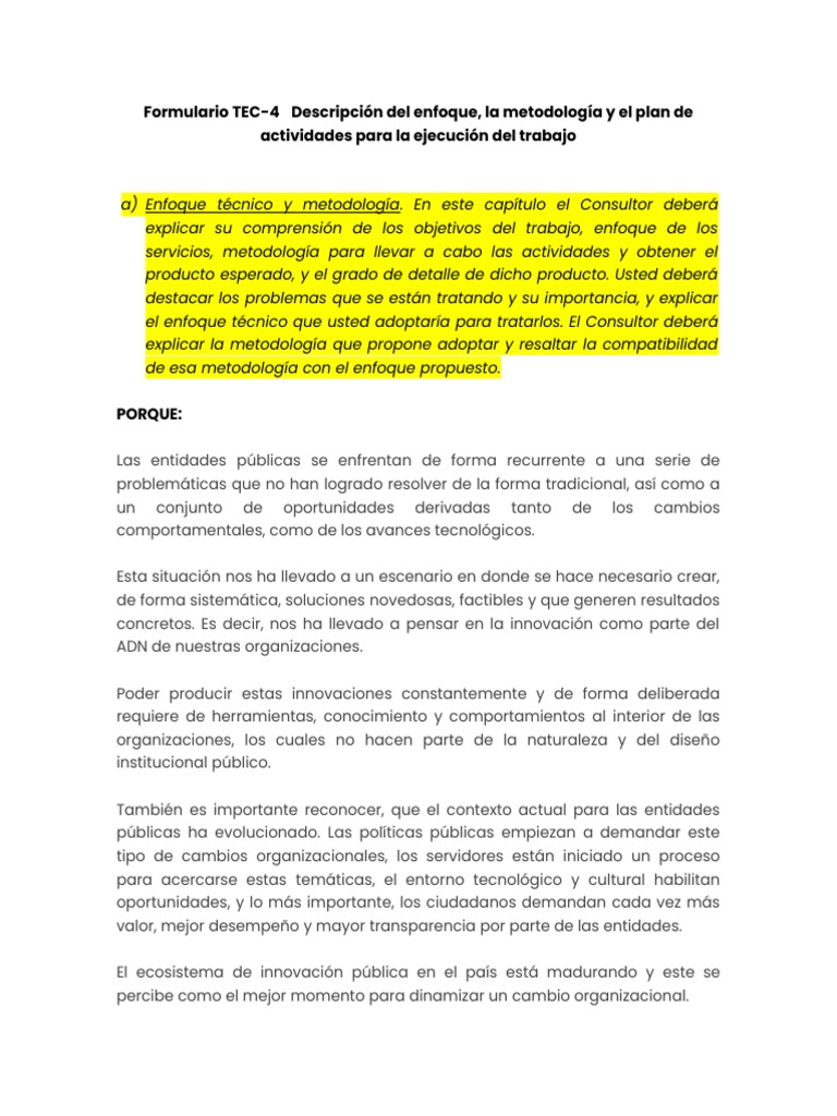 Formulario TEC 4 Descripción Enfoque, Metodología, Plan Actividades | PDF | Innovación | Diseño