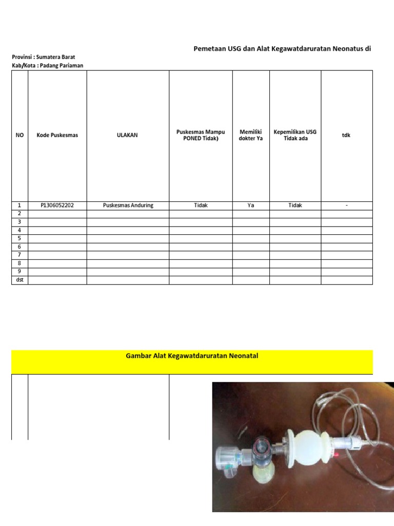 Ed 2 - Format Pemetaan USG Puskesmas 2022 | PDF