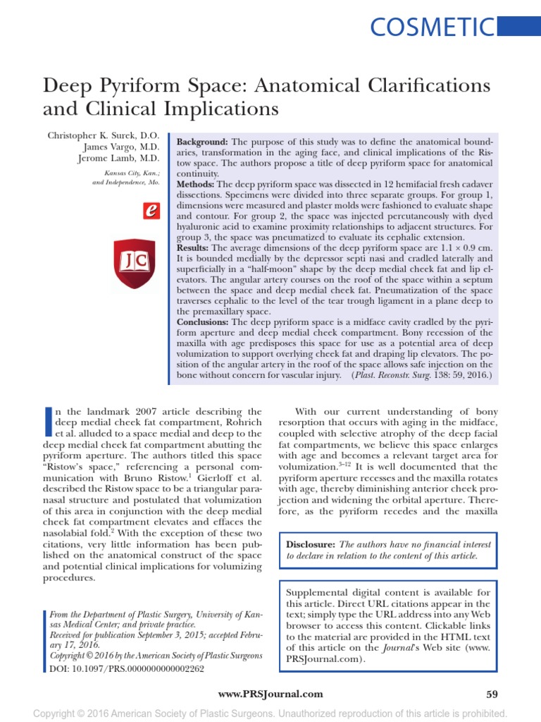 Chris Surek Deep Pyiform Space | PDF