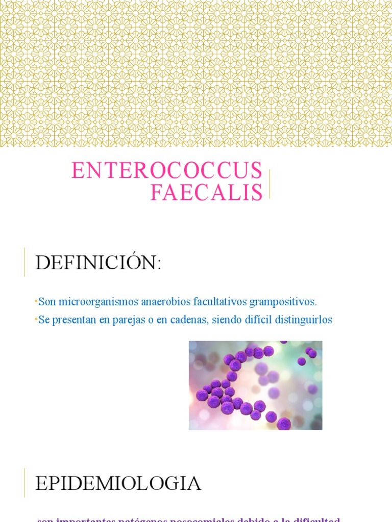 Enterococcus Faecalis | PDF | Ciencias de la Salud | Enfermedades y trastornos