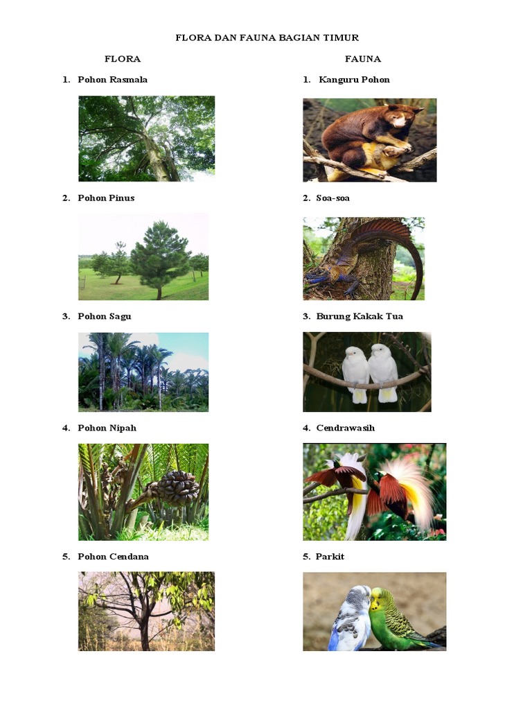 Flora dan Fauna Indonesia Bagian Timur | PDF | Griya & Taman