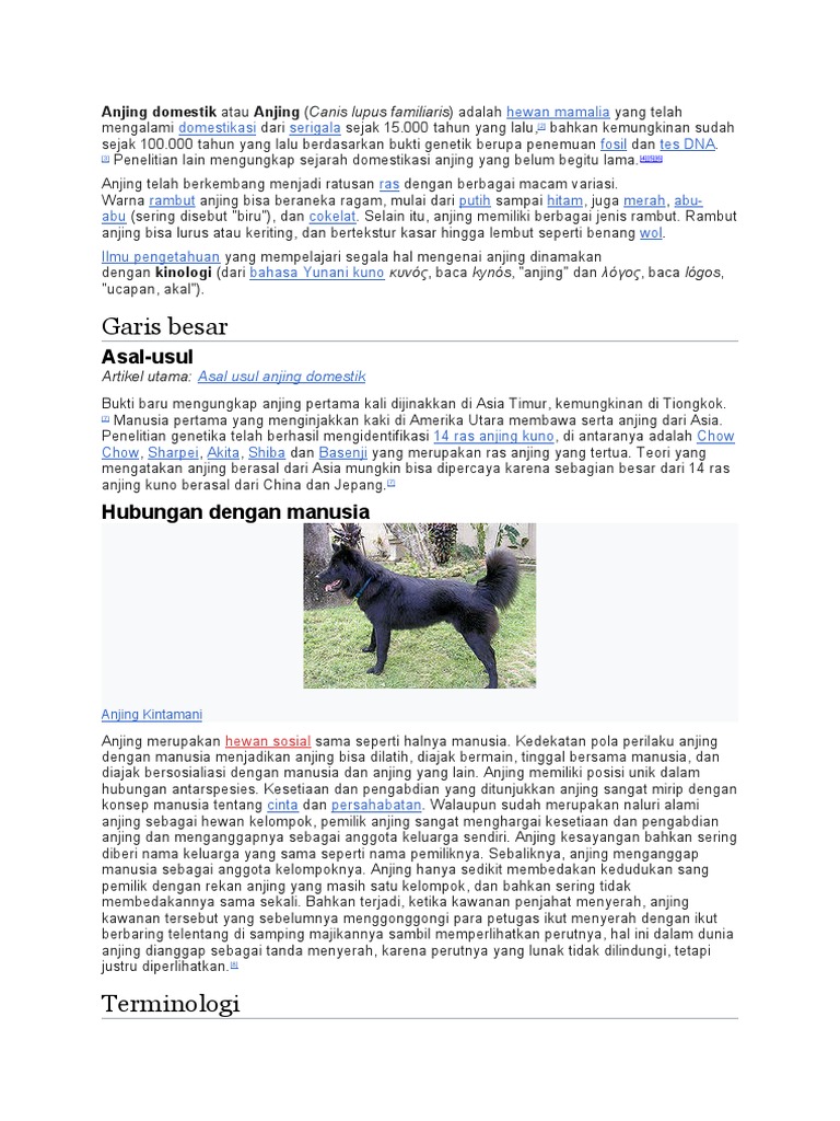 Anjing | PDF