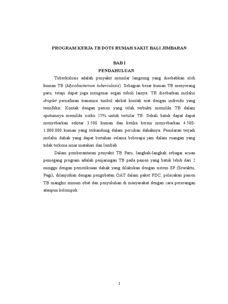 Program Kerja TB DOTS | PDF