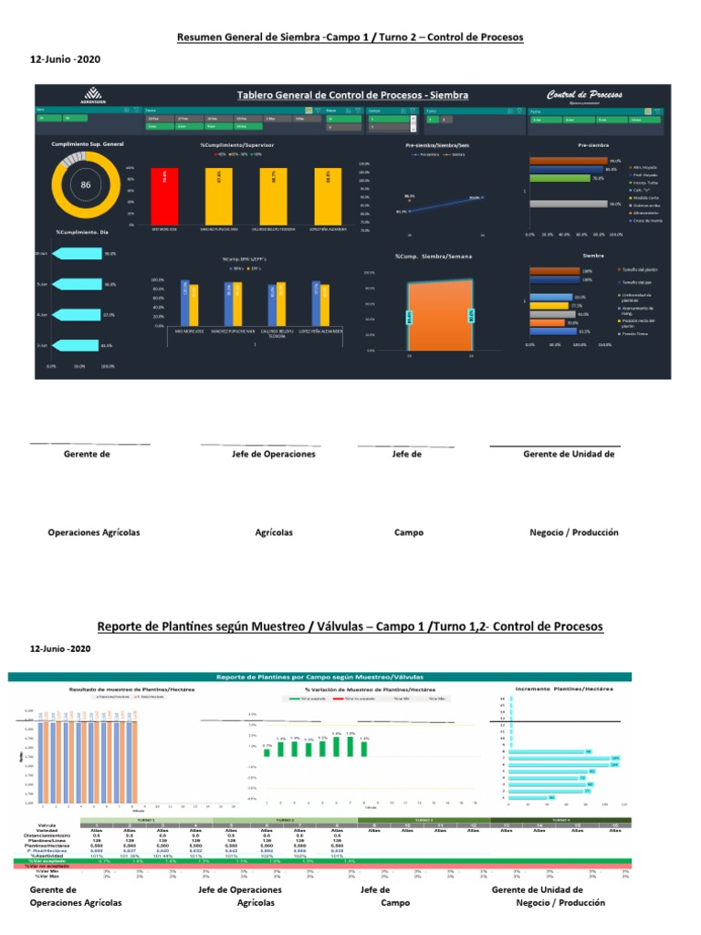 Resumen General de Siembra | PDF