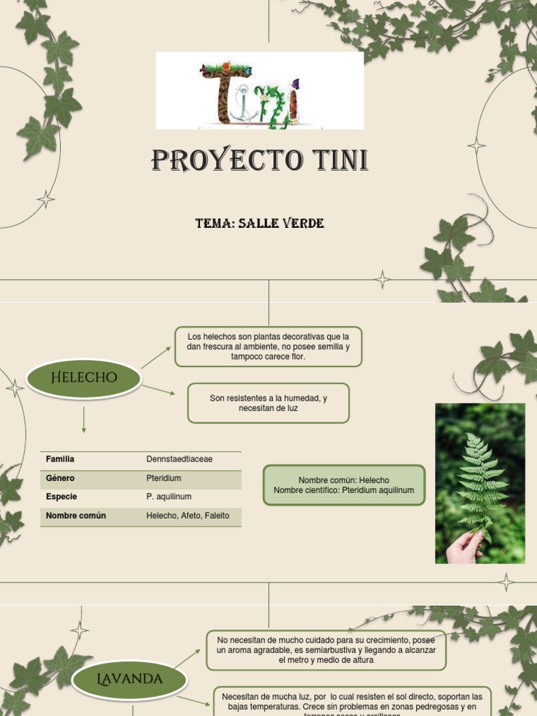 Proyecto TINI Infografia | PDF