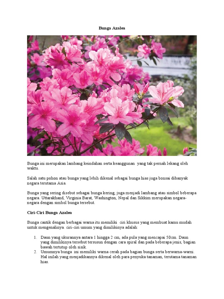 Makna dan Ciri Bunga Azalea | PDF | Griya & Taman