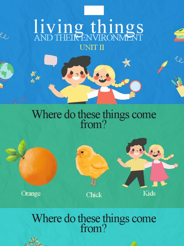 Male Reproductive System Canva | PDF | Reproductive System | Testicle