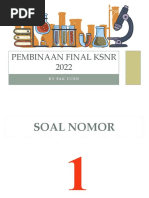 Soal KSNR2 - SD | PDF