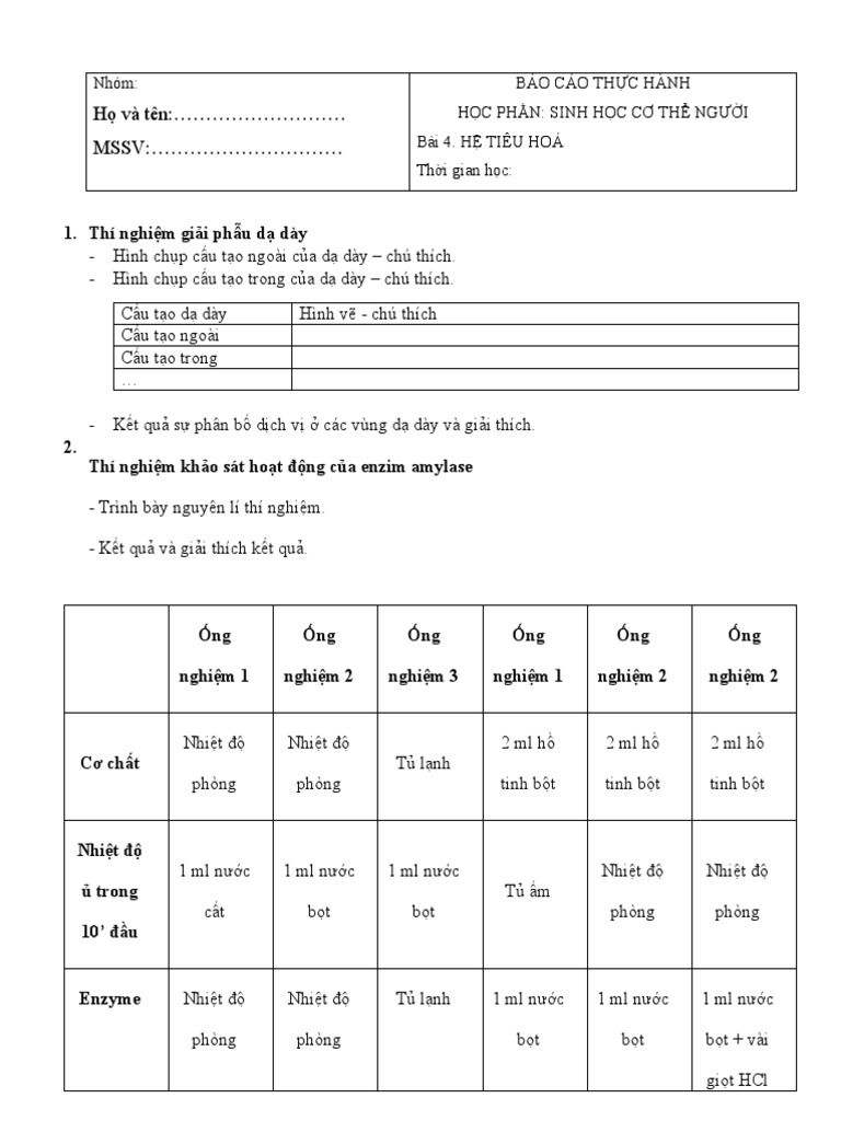 Mau Bai Bao Cao Bai 4 | PDF