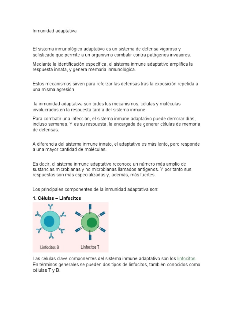 Inmunidad Adaptativa | PDF | Sistema inmune | Linfocitos
