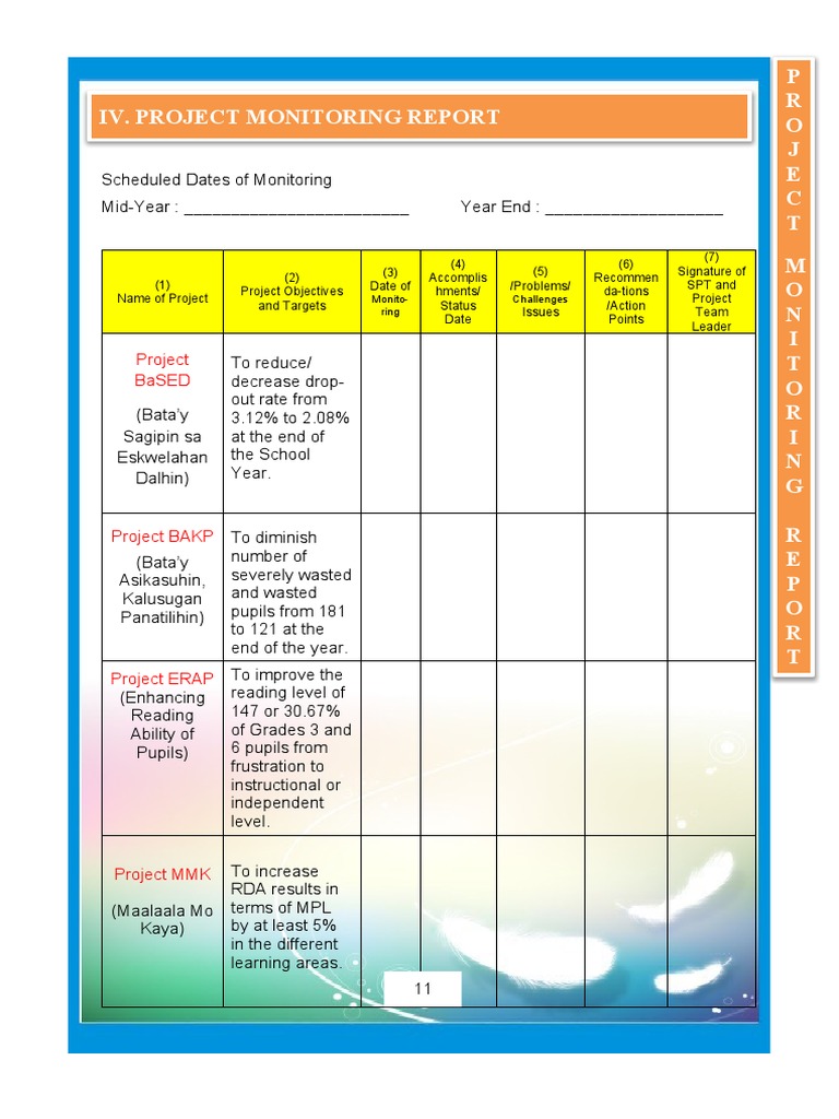 Revised Project Monitoring Report Pdf