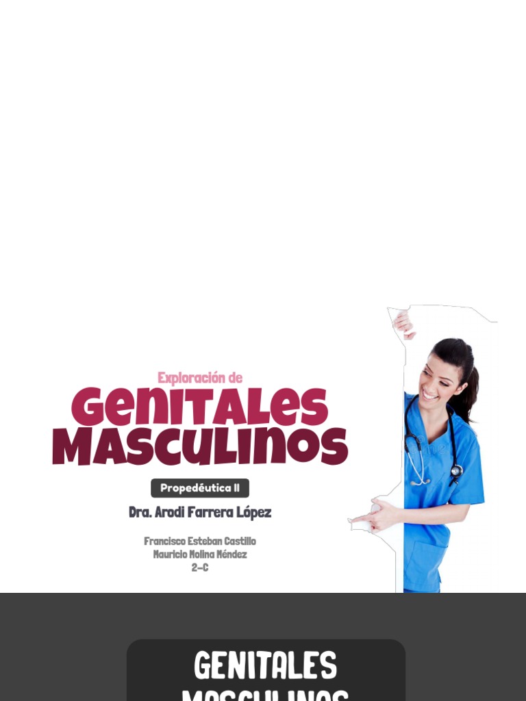 Genitales Masculinos 2C - Sub 4 | Descargar gratis PDF | Testículo ...