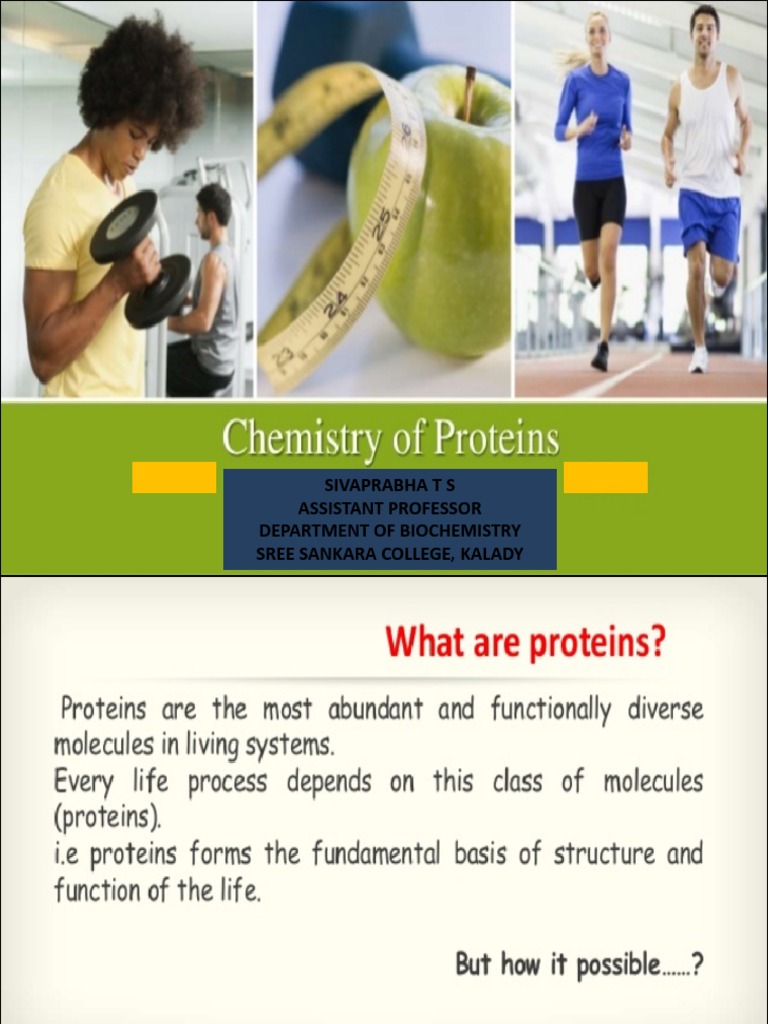 Chemistry of Proteins | PDF | Amino Acid | Proteins