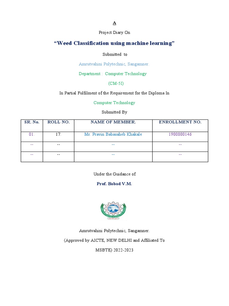 Project Diary Format New | PDF | Computer Vision | Deep Learning