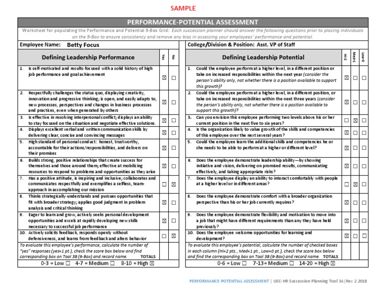 Sample 9 Box Assessment | PDF | Leadership | Business