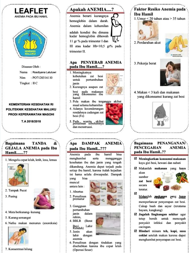 PDF Leaflet Anemia Pada Ibu Hamil - Compress | PDF