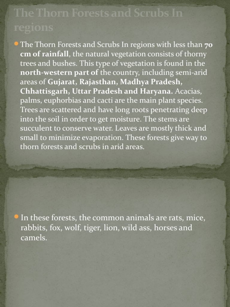 Thorn Forests and Montane Vegetation Overview | PDF | Forests | Trees