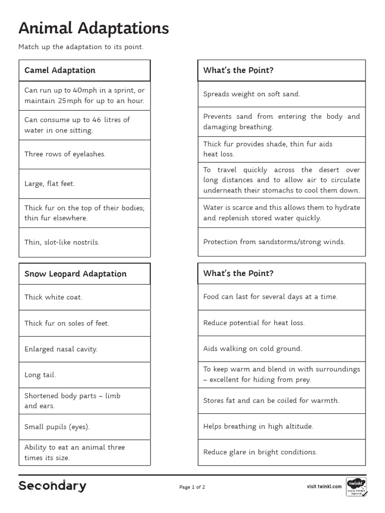 Animal Adaptations To Extreme Environments Lower Ability Activity Sheet ...