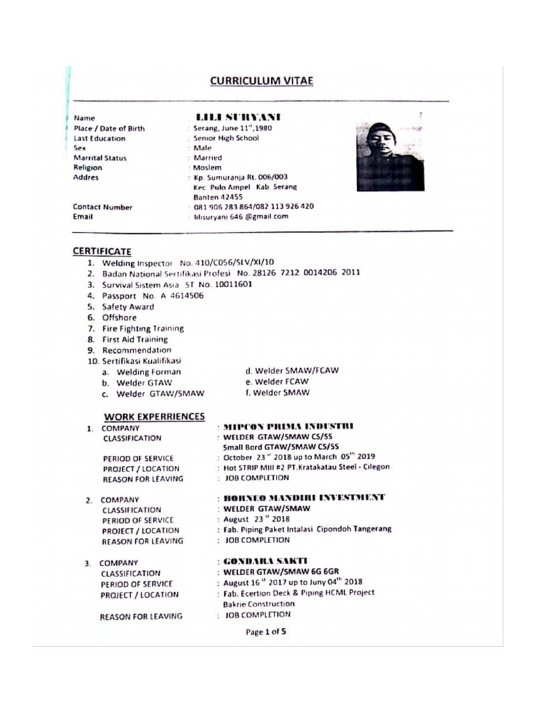CV Lili Suryani | PDF