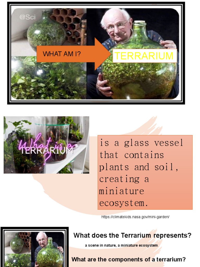 Earth Subsystems | PDF | Earth | Geology