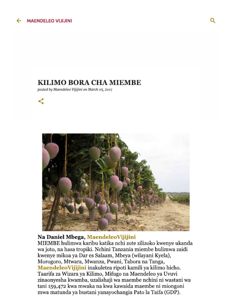 Kilimo Maembe | PDF