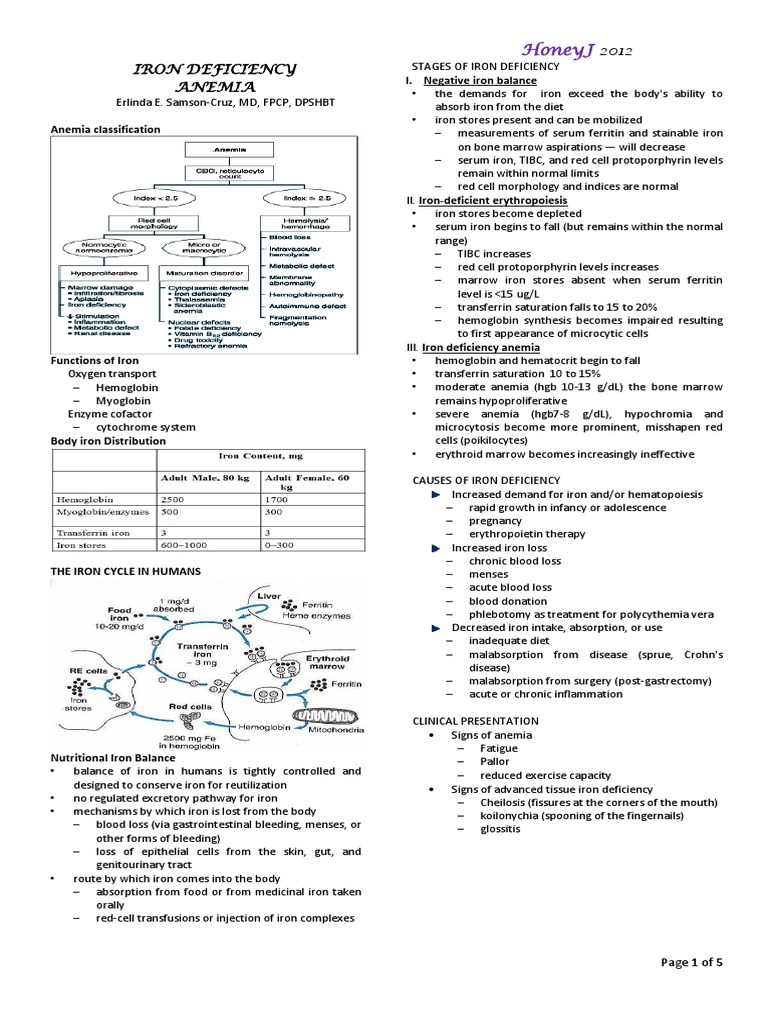 Hema Iron Deficiency Anemia Megalobalstic Anemia Dra Cruz Pdf
