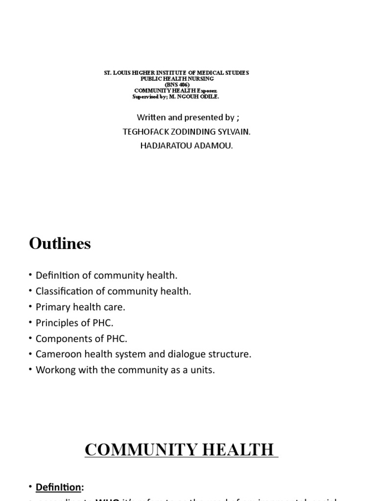 Community Health | PDF | Health Care | Nursing