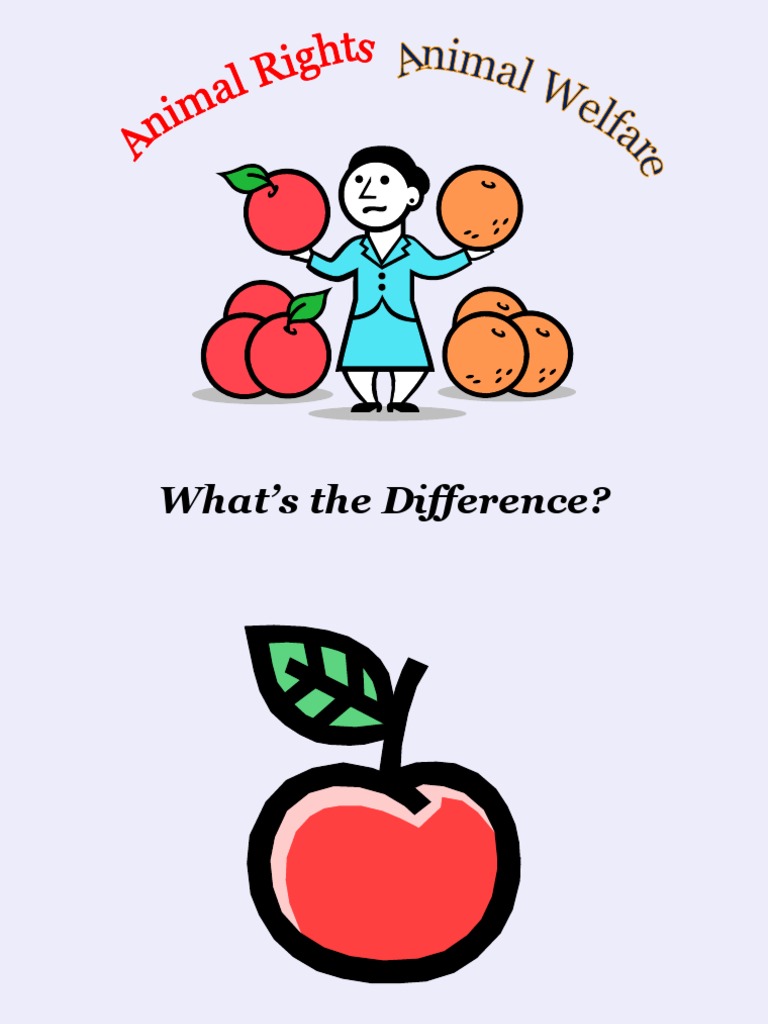 Animal Rights, Animal Welfare | PDF | Animal Welfare | Animal Rights