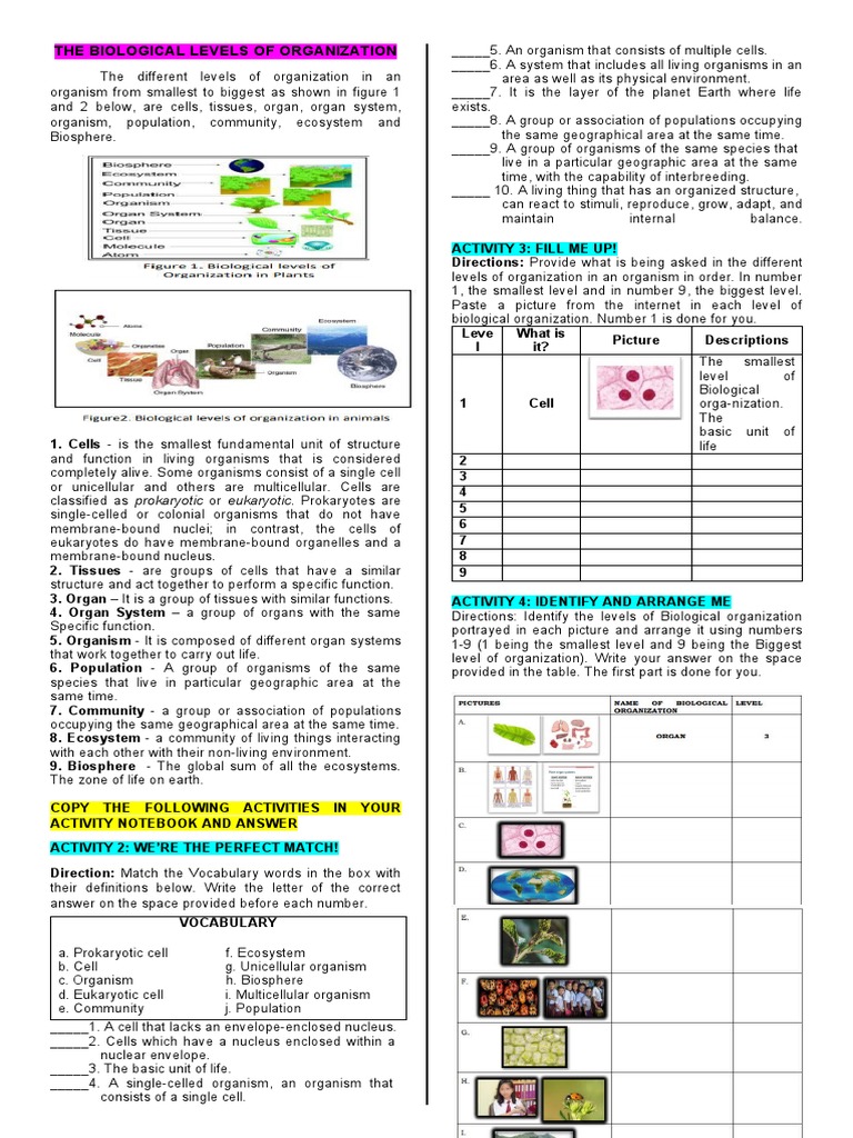 The Biological Levels of Organization | PDF | Cell (Biology) | Organisms