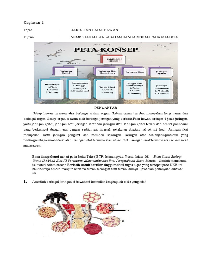 LKPD Jaringan Hewan | PDF