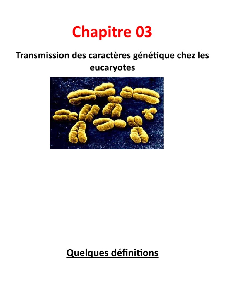Section 3 | PDF | Mitose | Cellule (Biologie) Section 3 | PDF | Mitose | Cellule (Biologie)