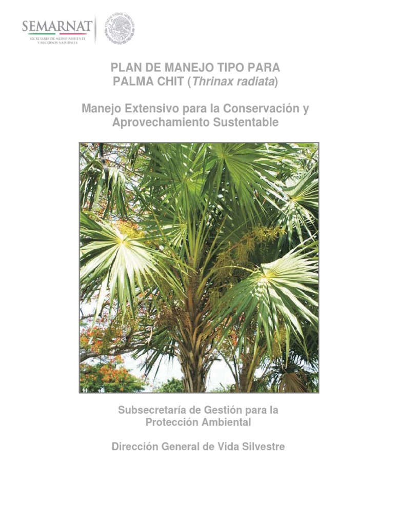 PLAN de MANEJO TIPO PARA PALMA CHIT (Thrinax Radiata) Manejo Extensivo ...